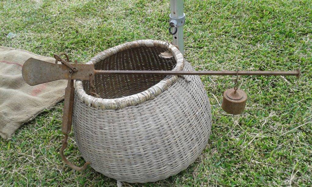 La pêche bichique - Les Aventuriers